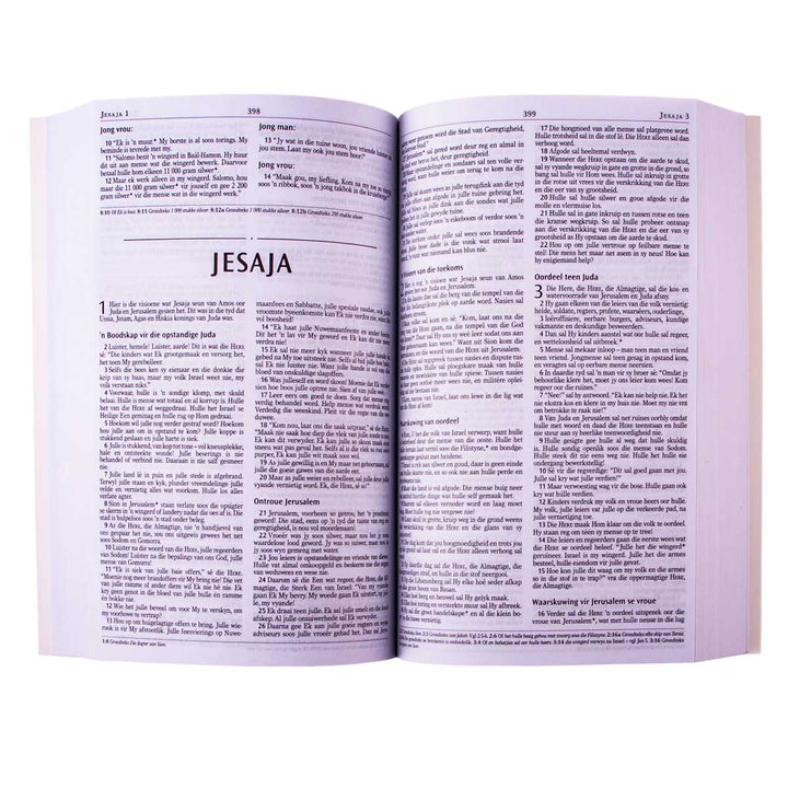 NLV Uitreikbybel Bruin met Blomme (Die Bybel) – Toyville - South Africa