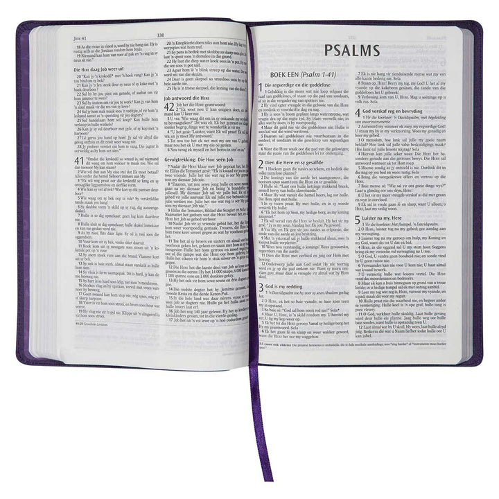 NLV Geskenkbybel Pers (Die Bybel) – Toyville - South Africa